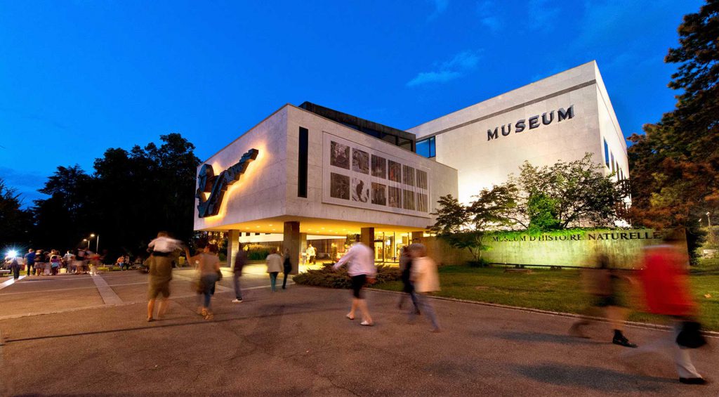 Muséum d’histoire naturelle de la Ville de Genève – Thematis SA ...